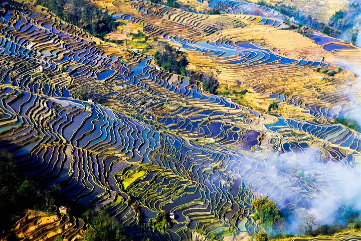 7-Day Yuanyang Rice Terraces Tour | Yunnan Photography Trip