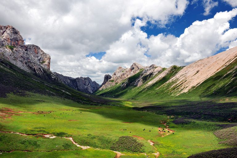 Sichuan Tours 2025/2026 – Best Sichuan China Tour Packages