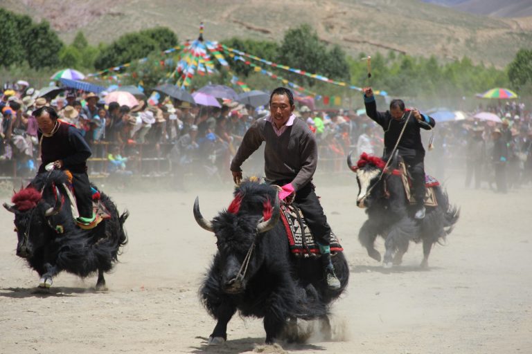 Kathmandu, Nagarkot & Dhulikhel 5 day tour - Nepal Kathmandu valley ...