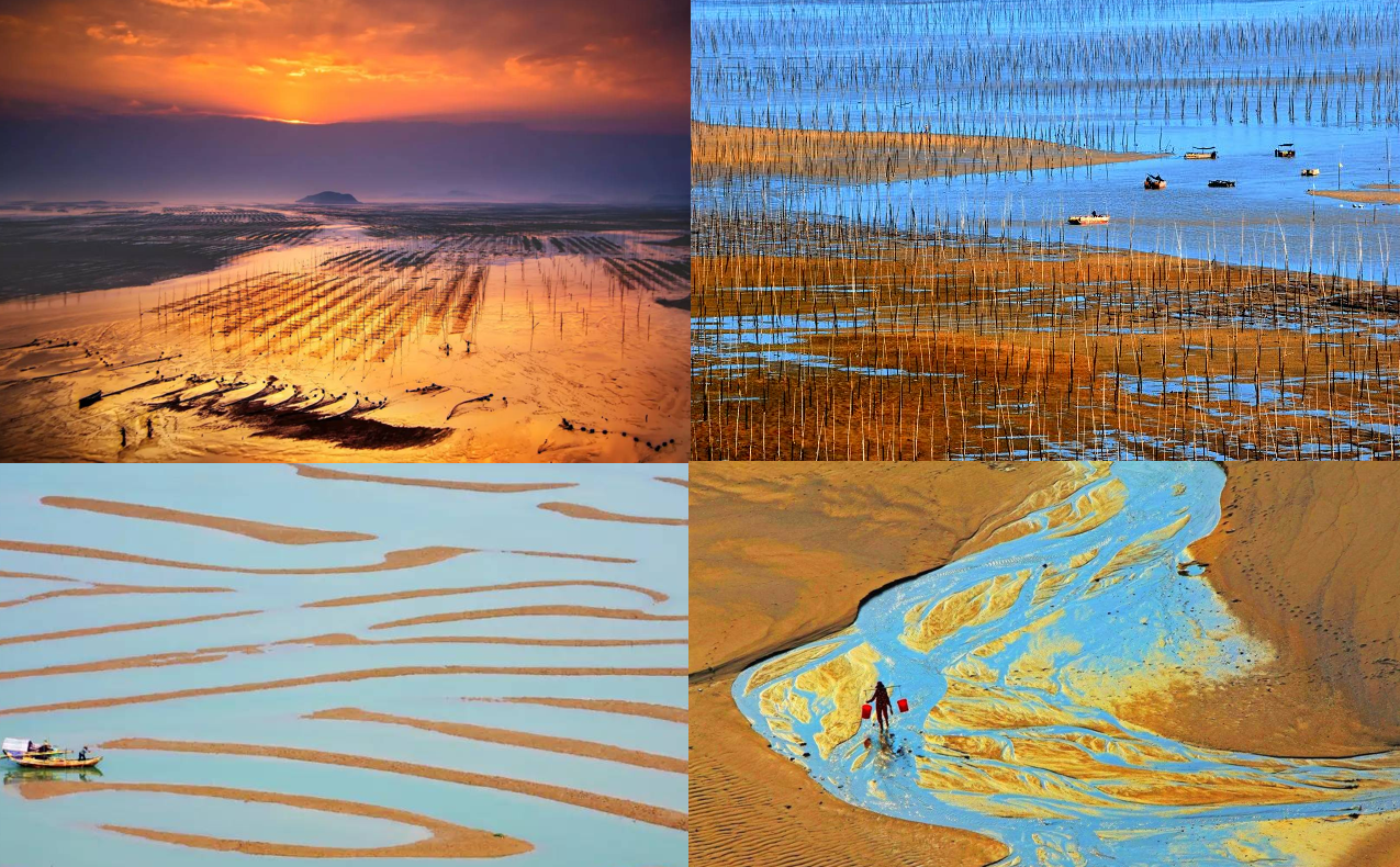 Xiamen Travel Guide: Things to Know for a Perfect Trip | WindhorseTour