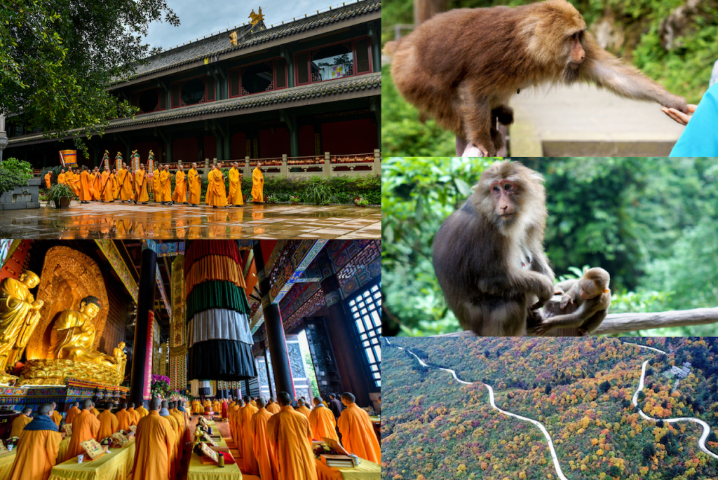 Mount Emei Travel Guide: Emeishan Trip Essential Tips | WindhorseTour