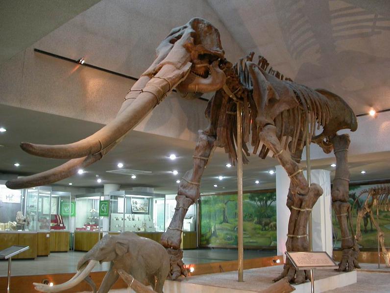 Gansu Provincial Museum - China Silk Road Travel Guide | WindhorseTour
