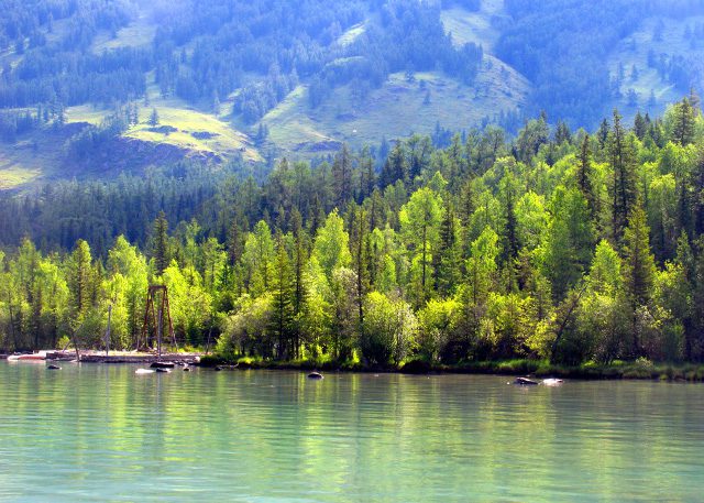 Korla - A City in Xinjiang | WindhorseTour
