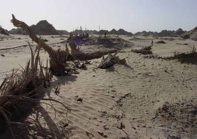 Must Know Facts - Niya Ruins - Xinjiang | WindhorseTour