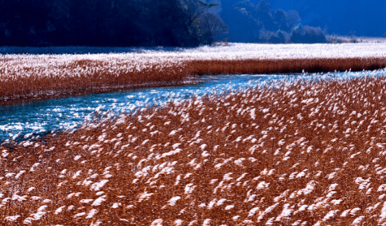 Sichuan Travel Guide - Shuzheng Valley | WindhorseTour