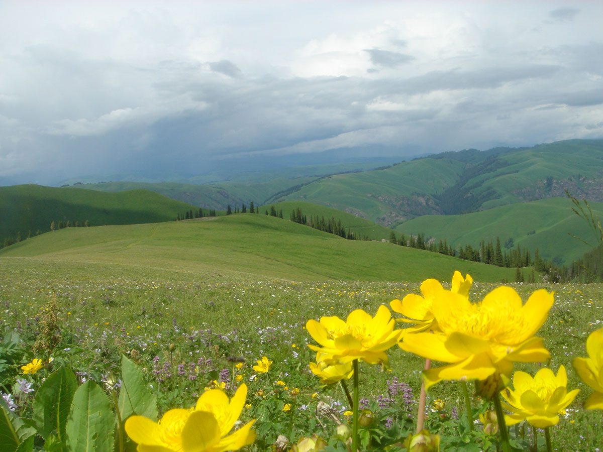Ili Kazakh Prefecture in Xinjiang | WindhorseTour