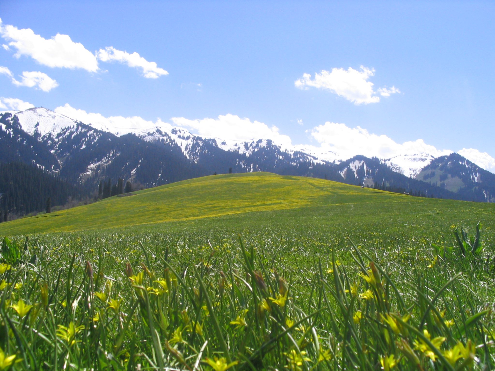 Ili Kazakh Prefecture in Xinjiang | WindhorseTour