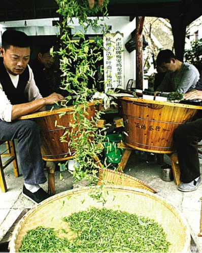 Meijiawu Tea Village - Great Place for Chinese Tea Ceremony | WindhorseTour