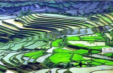 Travel to Yuan Yang To See The Spectacular Rice Terraces | WindhorseTour