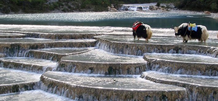 Why Choose Shangri-la In Yunnan Tour | WindhorseTour